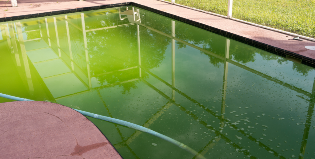 Comment rattraper une eau de piscine verte ? - Piscines Magiline